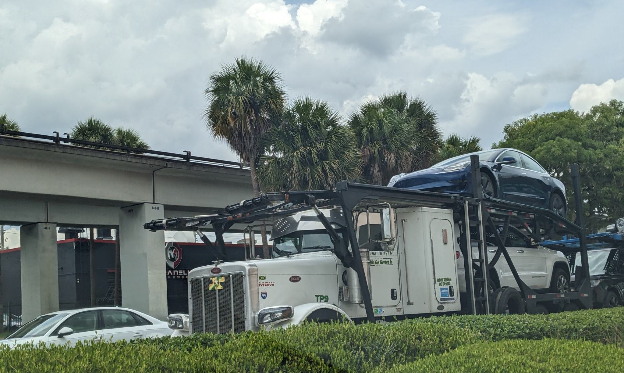 Auto Transport Services | #1 Best Vehicle Transport Services